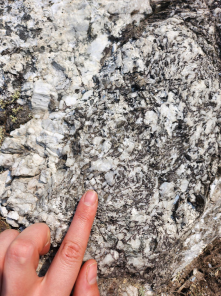 Green Shift Commodities - Armstrong Project